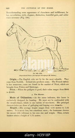 This page focuses on the physical characteristics of the horse ...