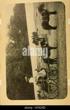 The Harness makers' guide BHL218 Stock Photo - Alamy