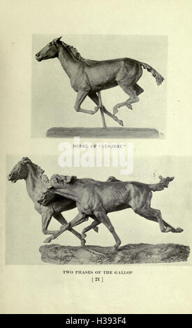 This work examines the natural history of horses, including their ...