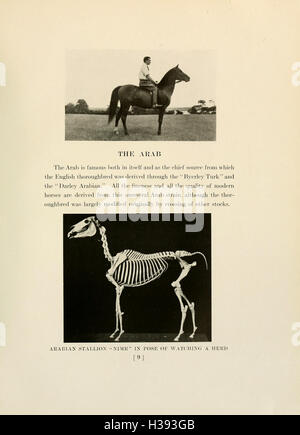 This text examines the history and evolution of the horse, with ...