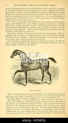 This work examines the biology, domestication, and role of the horse ...