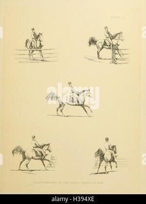 This text examines the biomechanics of horse movement, analyzing gait ...