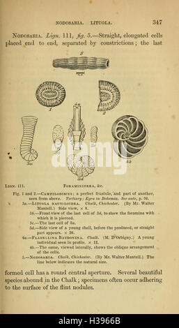This educational work introduces the fundamental principles of ...