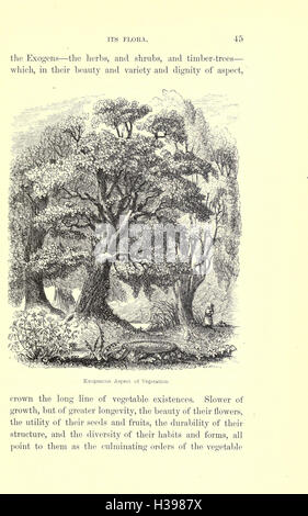 This work examines the history of Earth’s life, focusing on geological ...