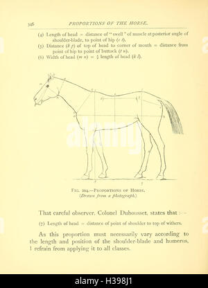 This guide discusses the key anatomical features and characteristics of ...