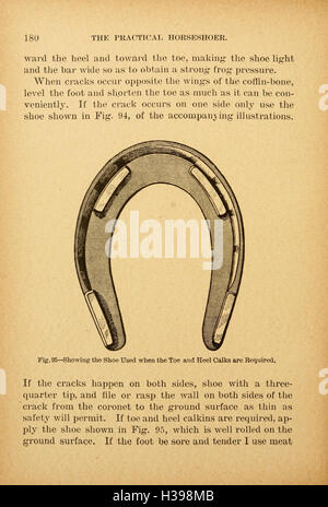 This guide provides practical advice for farriers on how to properly ...