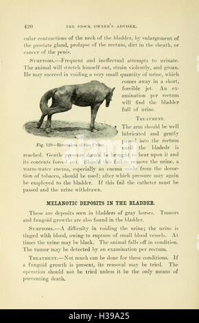 This guide provides advice to stock owners on livestock management ...