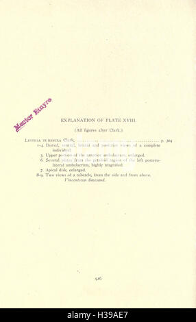 This report details the findings of Cretaceous-era fossils in New ...