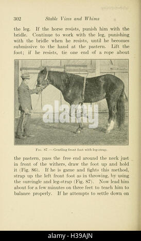 A guide on the techniques of breaking and riding horses, covering ...