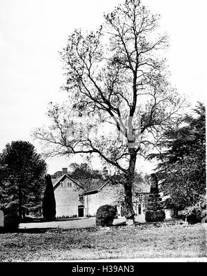 This work details the tree species native to Great Britain and Ireland ...