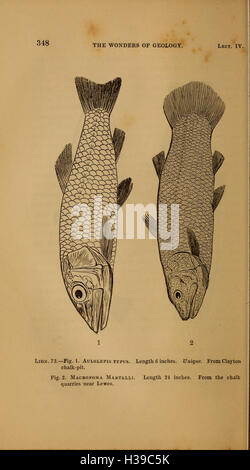 This work explains geological phenomena, providing a clear exposition ...