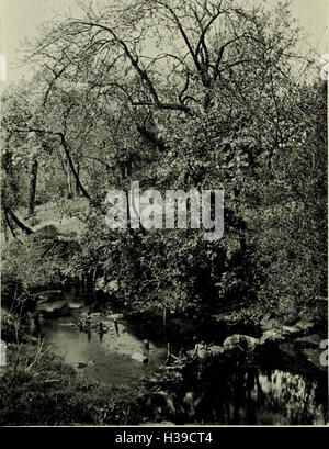 This work explores the symbolism of trees in nature, mythology, and art ...