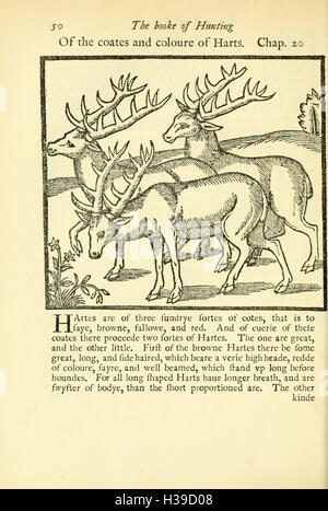 This historical text from 1576 offers insights into hunting practices ...