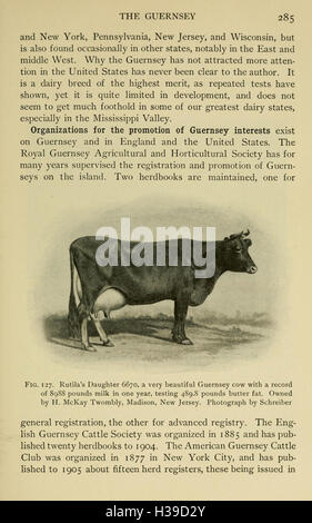 An overview of the various types and breeds of farm animals, including ...