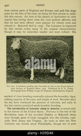 An overview of different types and breeds of farm animals, with ...