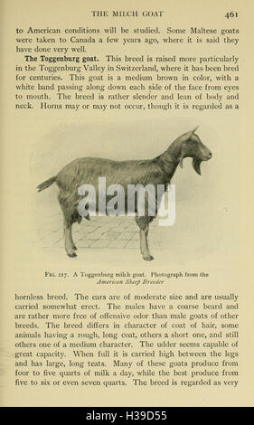 An overview of the various types and breeds of farm animals, including ...