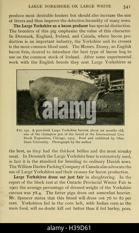 An overview of various farm animal types and breeds, focusing on ...