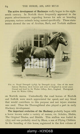 An overview of the various types and breeds of farm animals, including ...