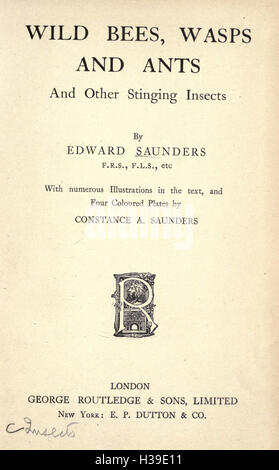 Wild bees, wasps and ants and other stinging insects BHL215 Stock Photo ...