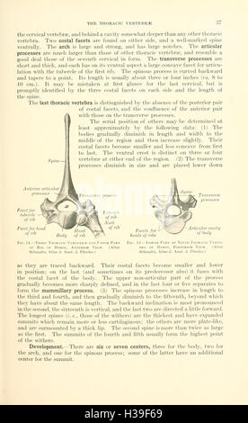 This textbook provides comprehensive details on the anatomy of animals ...
