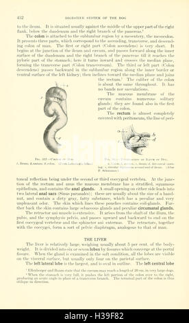 This page provides a comprehensive overview of veterinary anatomy ...