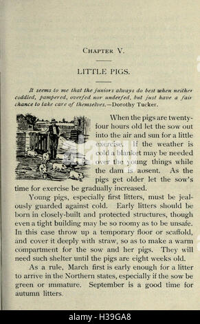 A comprehensive guide on raising pigs, including techniques for ...