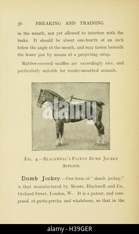 A guide to breaking and training horses, covering methods for teaching ...