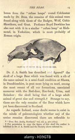 This work examines British animals that have gone extinct in historic ...