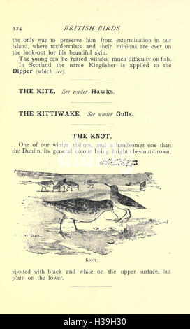 This guide focuses on British bird species that are suitable for life ...