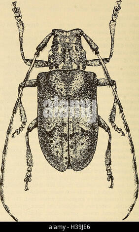 This work focuses on the wildlife of the northern regions of British ...