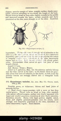 An in-depth study of Coleoptera, covering species identification ...