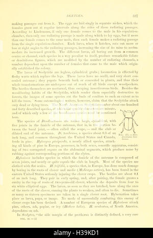 This work covers the classification and characteristics of Coleoptera ...