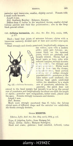 This publication focuses on Coleoptera species in Indian forests that ...
