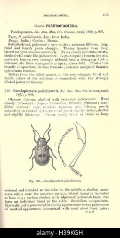 This work details the Coleoptera order of insects, examining their ...