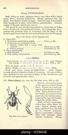 An examination of the Coleoptera order, focusing on beetles and their ...