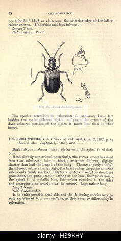 This text explores the biological characteristics, behavior, and ...