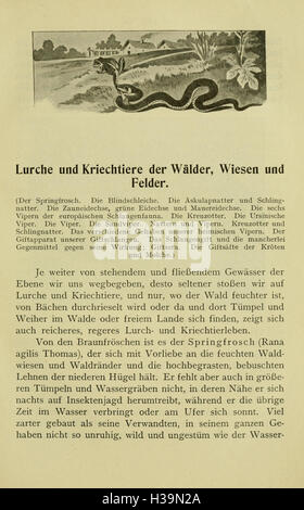 A study of the life cycle of native amphibians and reptiles in Germany ...