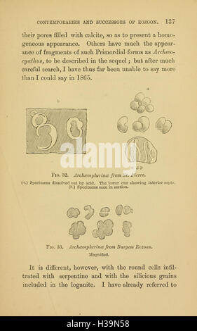This work explores the early stages of life on Earth, focusing on the ...