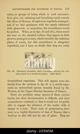 This work focuses on the early stages of life on Earth, including the ...