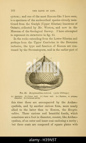 This work explores the origins of life on Earth, focusing on early ...