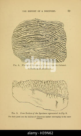 This work explores the origins of life on Earth, detailing scientific ...