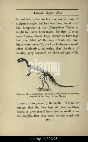 This work examines the prehistoric animals of North America, focusing ...