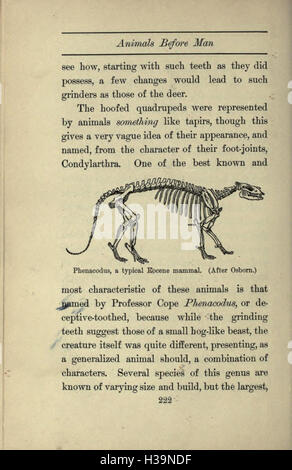 *Animals Before Man in North America* (1902) explores the prehistory of ...