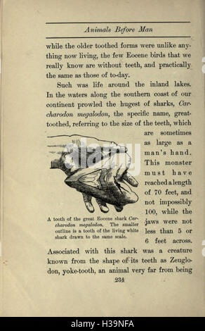 This work explores the prehistoric fauna of North America, detailing ...