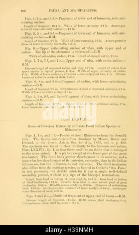 This work provides detailed descriptions of the plates depicting the ...