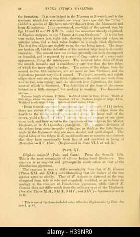 This work describes the plates depicting extinct species from the ...