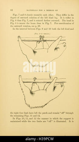 This study explores the various methods of animal movement, including ...