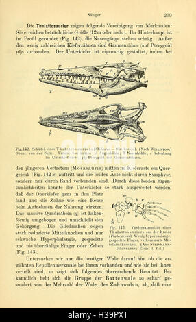 This German text explores the theory of descent and evolution ...