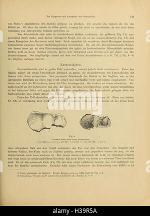 The Pithecanthropus Layers in Java: Geological and Paleontological ...