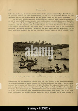 This page discusses the Pithecanthropus layers in Java, a key site for ...